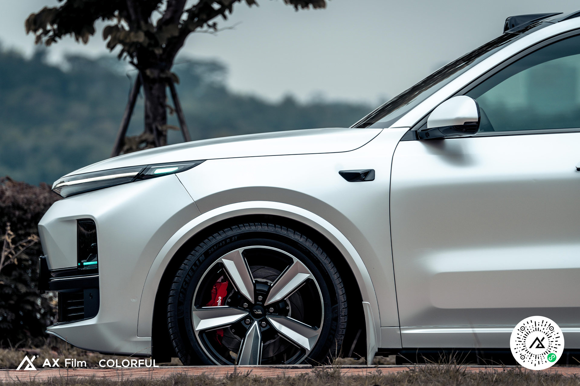 理想L9 - 电光金属白