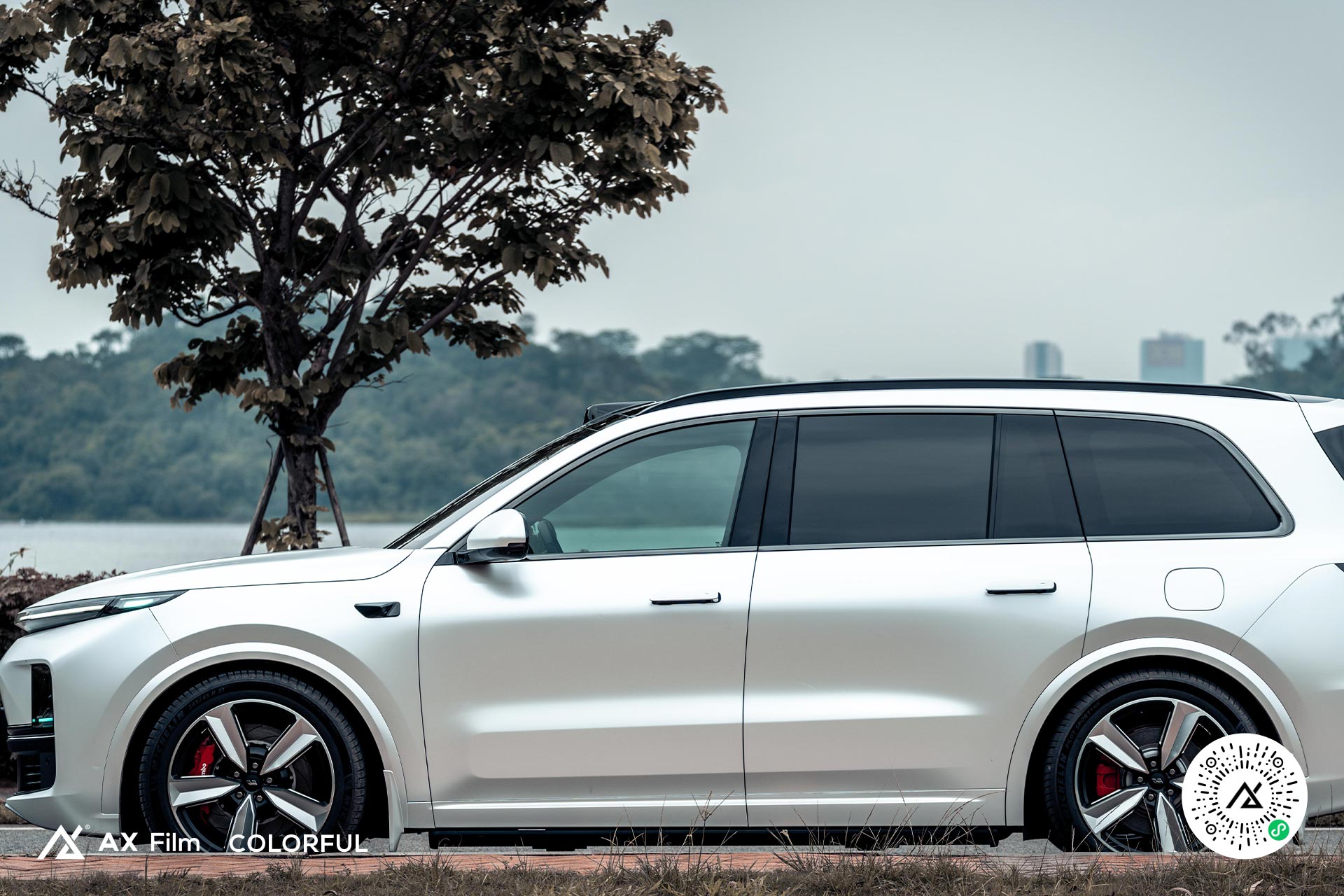 理想L9 - 电光金属白