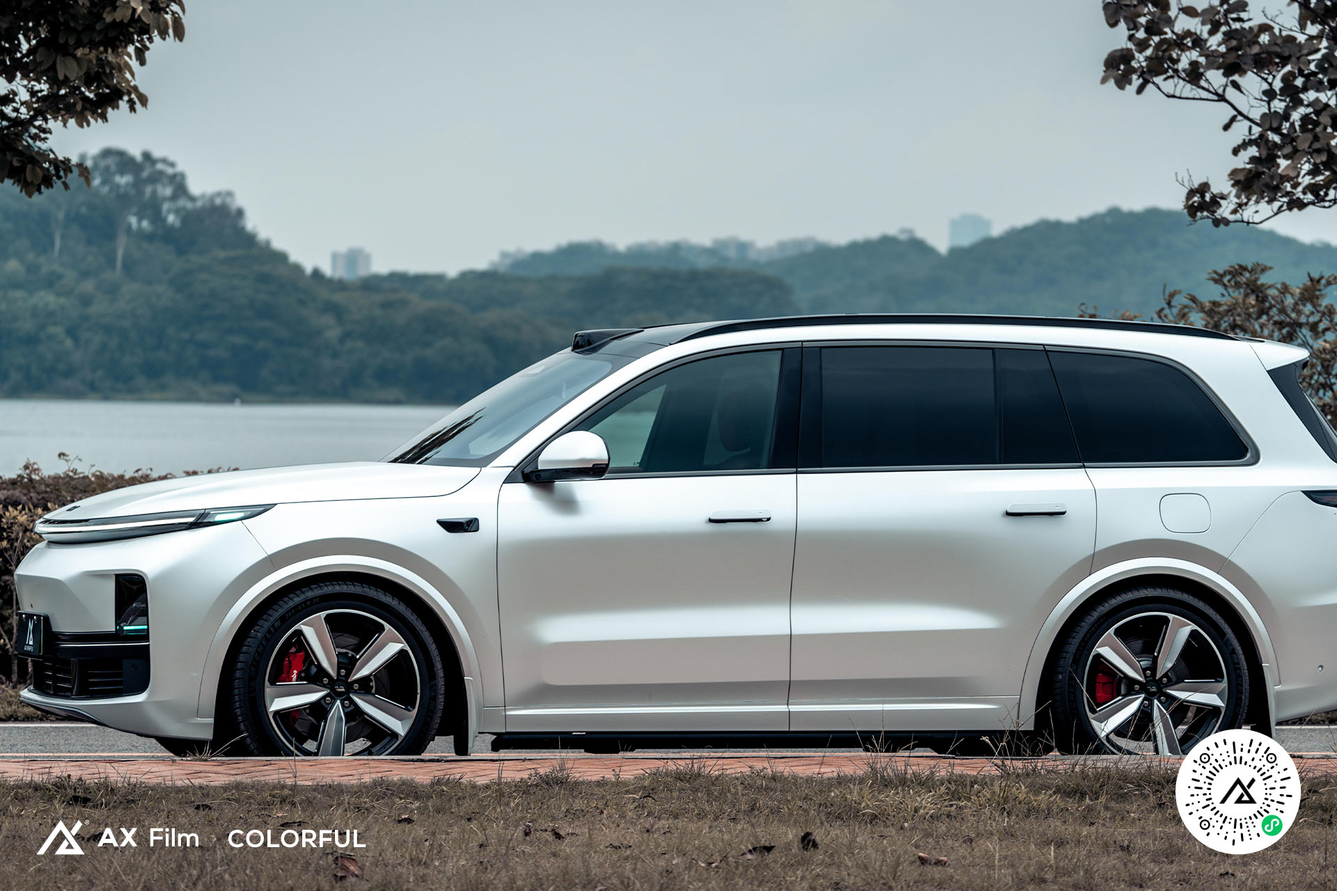 理想L9 - 电光金属白